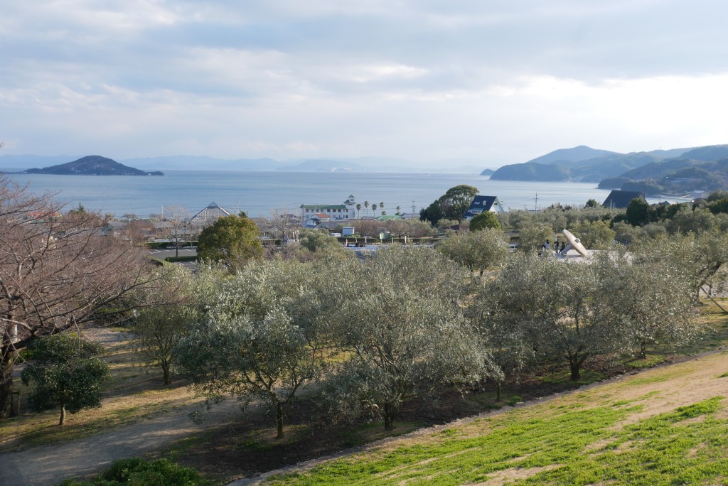 Old and modern history of olives crop in Japan – In Olio Veritas